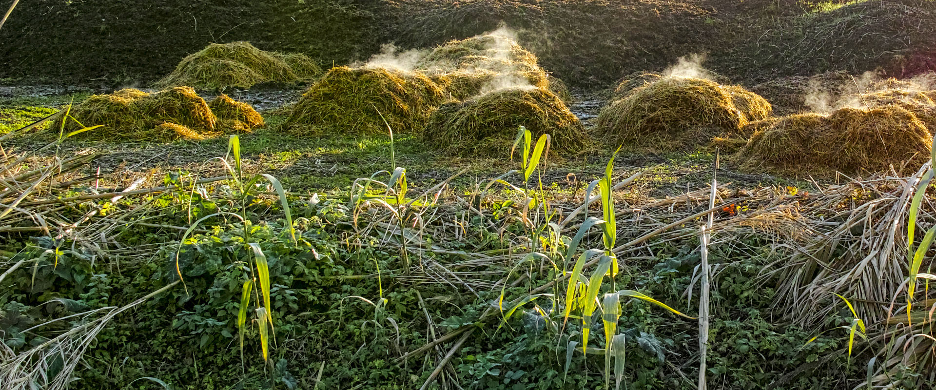 Odor Control Spray - Landfill Odor Containment